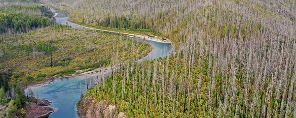 U.S. Opinion and the Election: Guns, Immigration, Climate