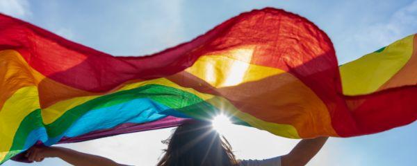 LGBTQ+ Rights | Gallup Historical Trends