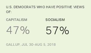 The Meaning of "Socialism" to Americans Today