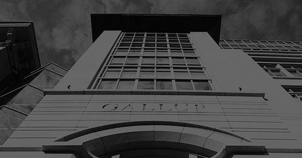 Contact Us | Gallup