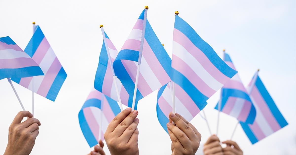 Measuring Transgender Identities: Phase 3