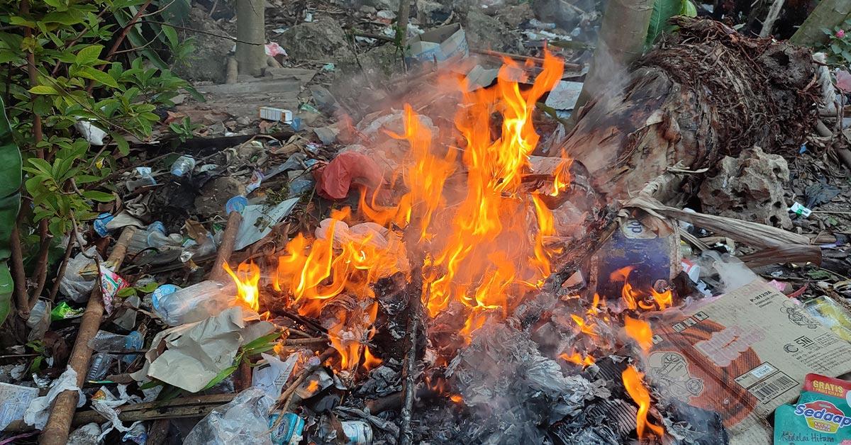 1 in 7 Adults Worldwide Live in Households That Burn Waste