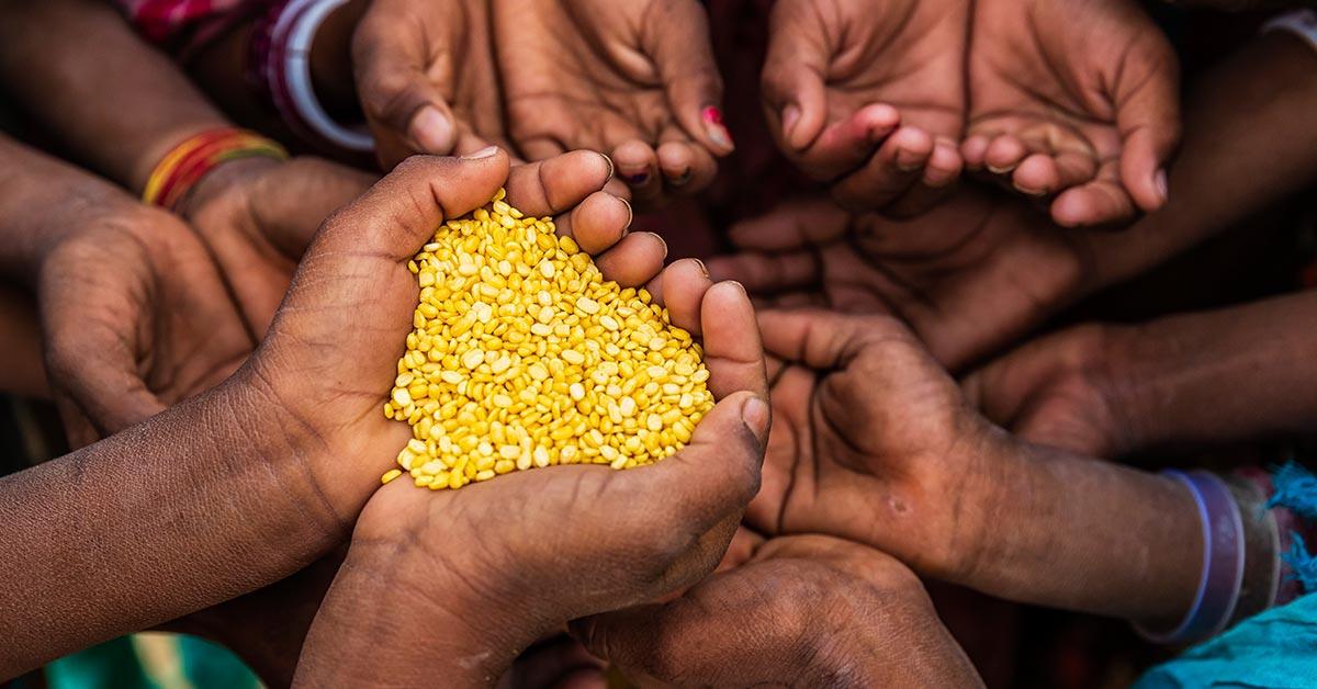 Hunger, Food Insecurity Still Higher Than Before Pandemic