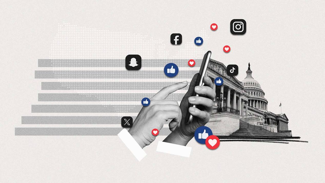 Pro-Democratic Social Views Vary by Social Media Platform