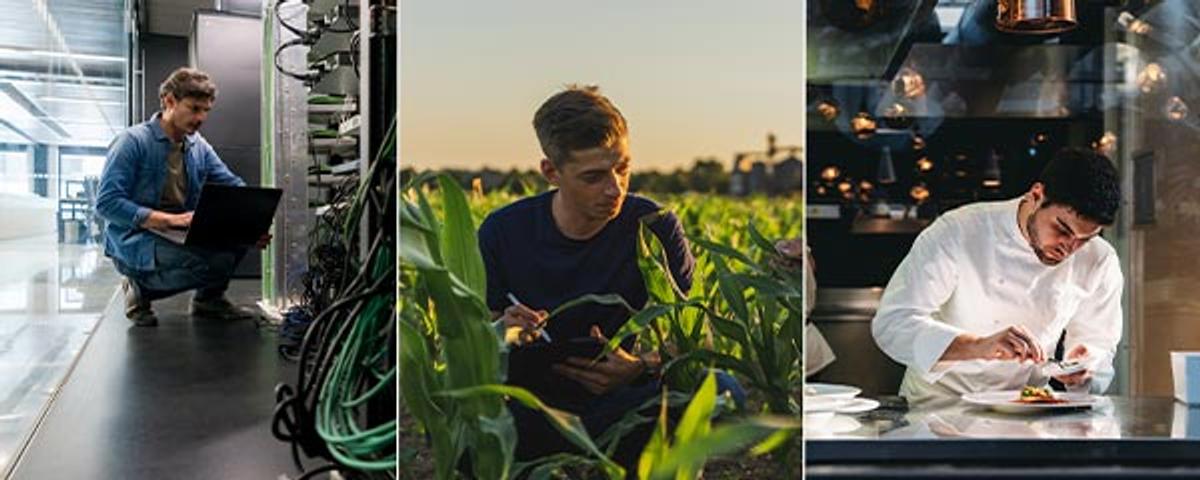 Helping America Solve Its Food Waste Problem