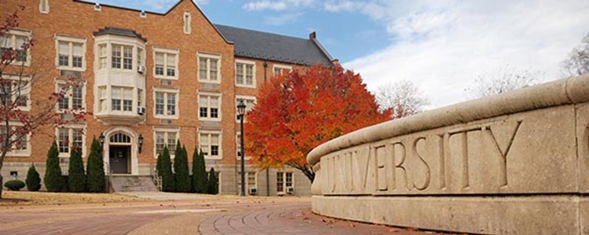 College Students Experience High Levels of Worry and Stress