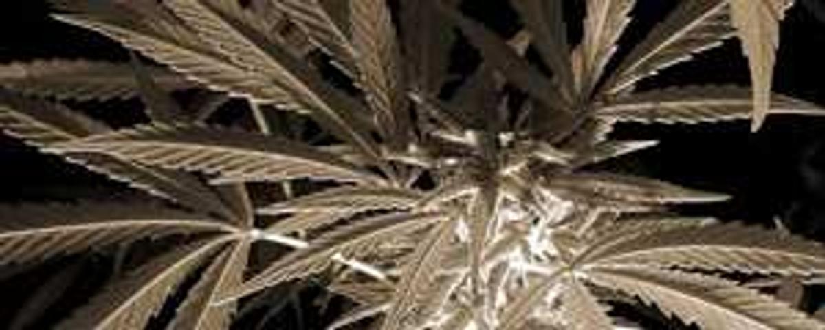 Gallup Vault: Hawks vs. Doves on Vietnam