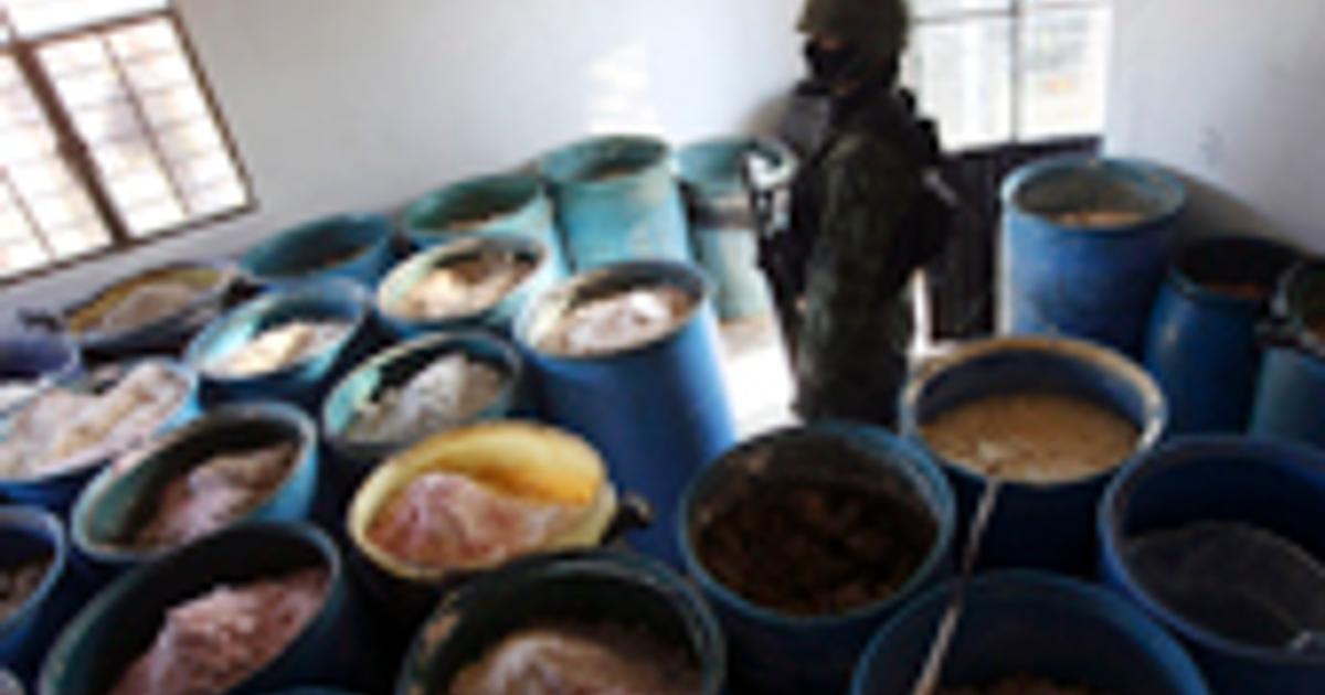 Opinion Briefing: Mexico's Drug War