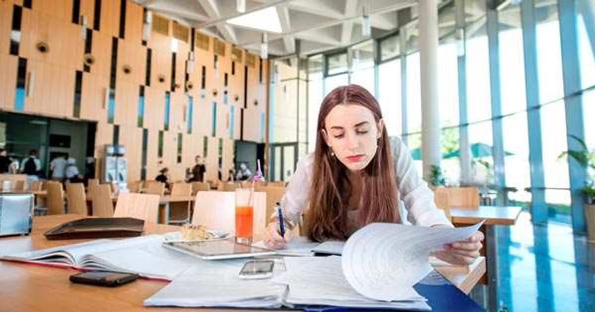 5 Ways to Make College a Success